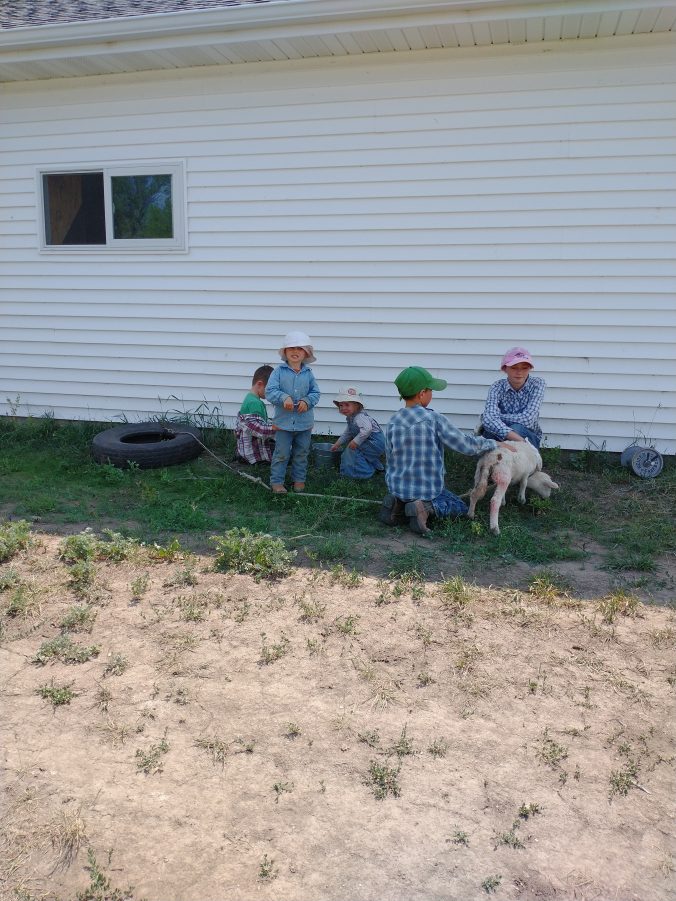 Jacobson Farm – Adventures in Haymarsh