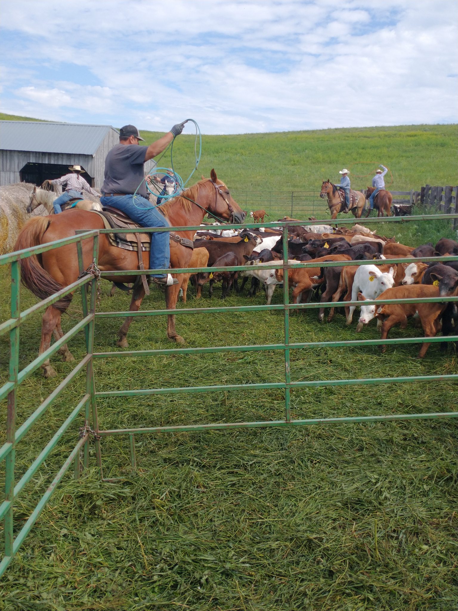 Jacobson Farm – Adventures in Haymarsh