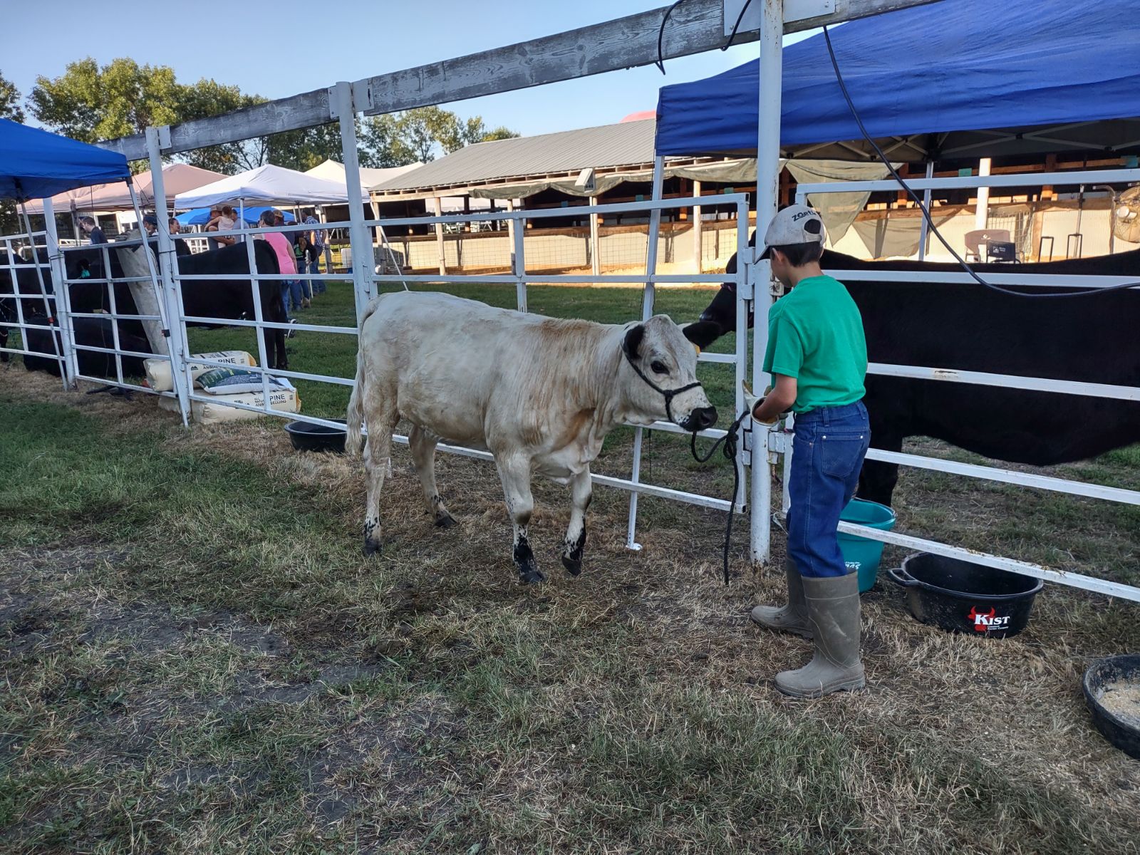 Jacobson Farm – Adventures in Haymarsh