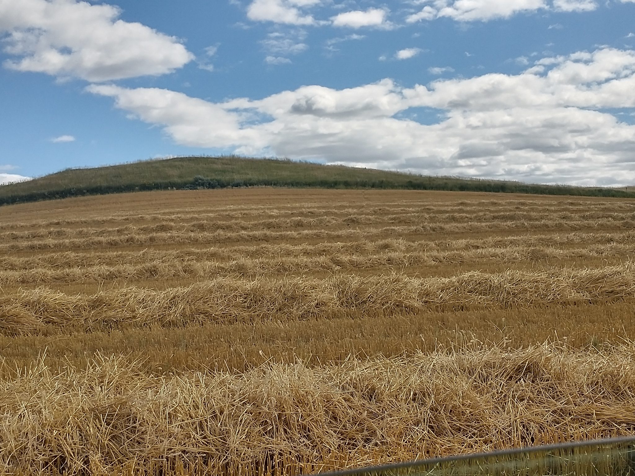 Jacobson Farm – Adventures in Haymarsh