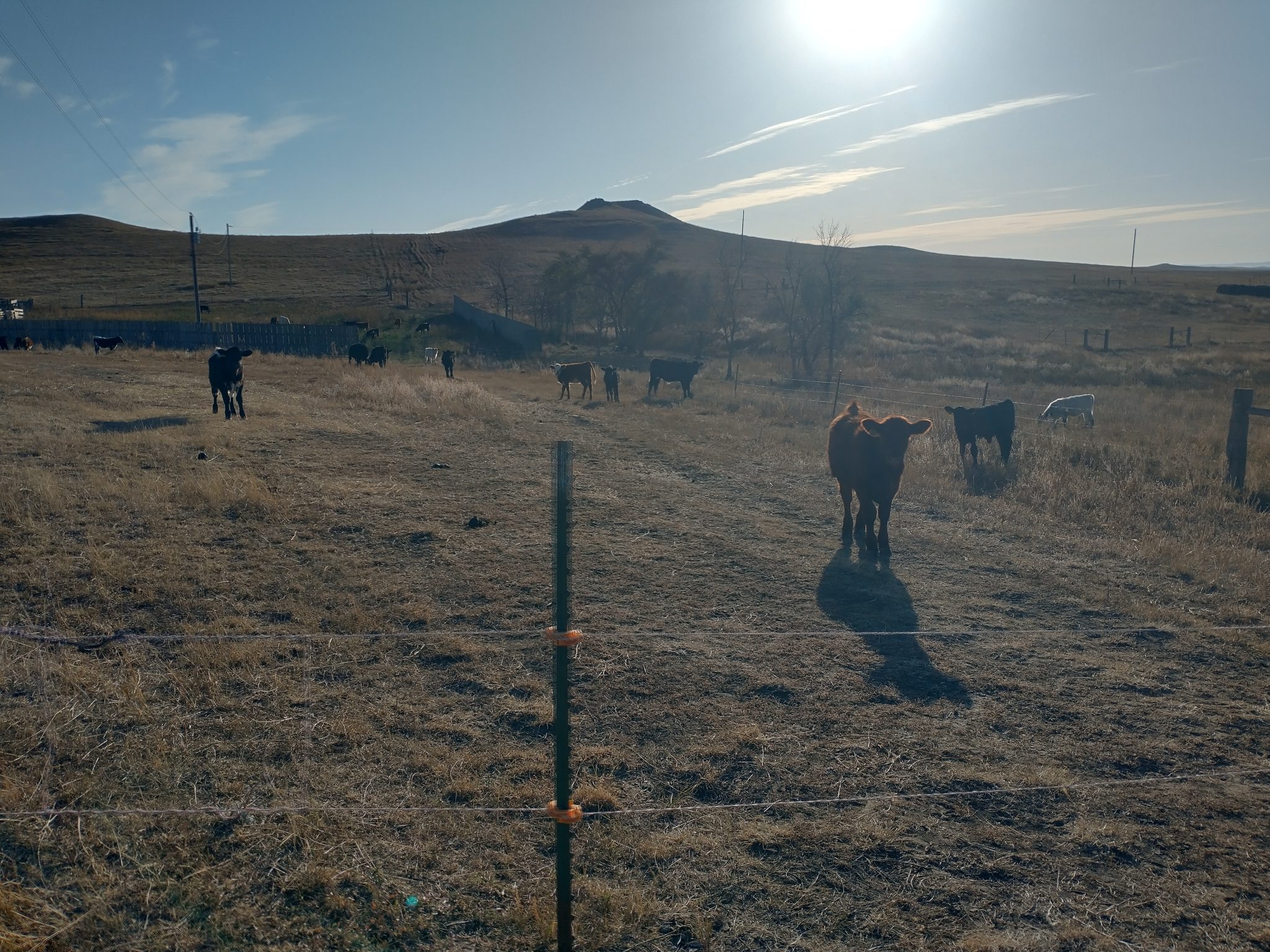 Jacobson Farm – Adventures in Haymarsh